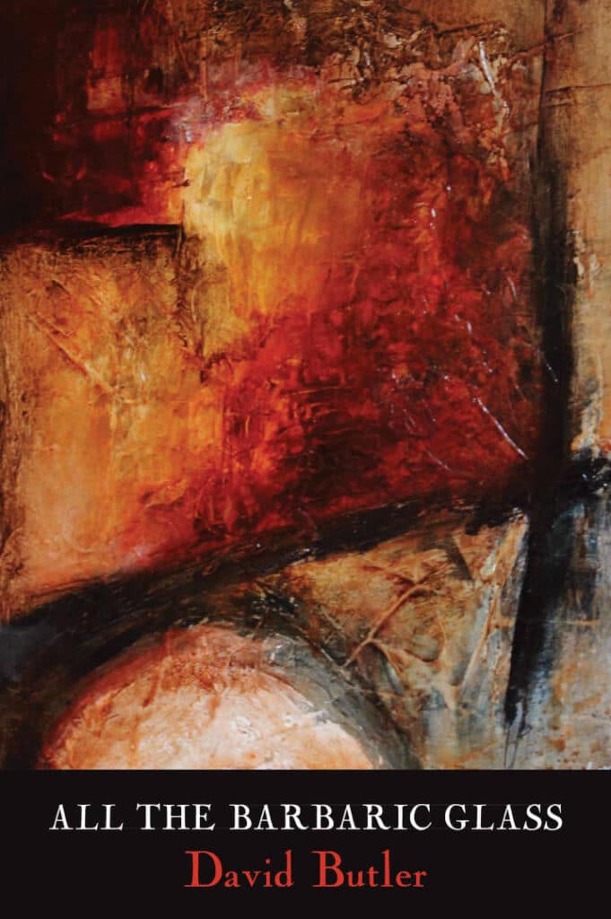 David Butler - Irish Poet - Doire Press